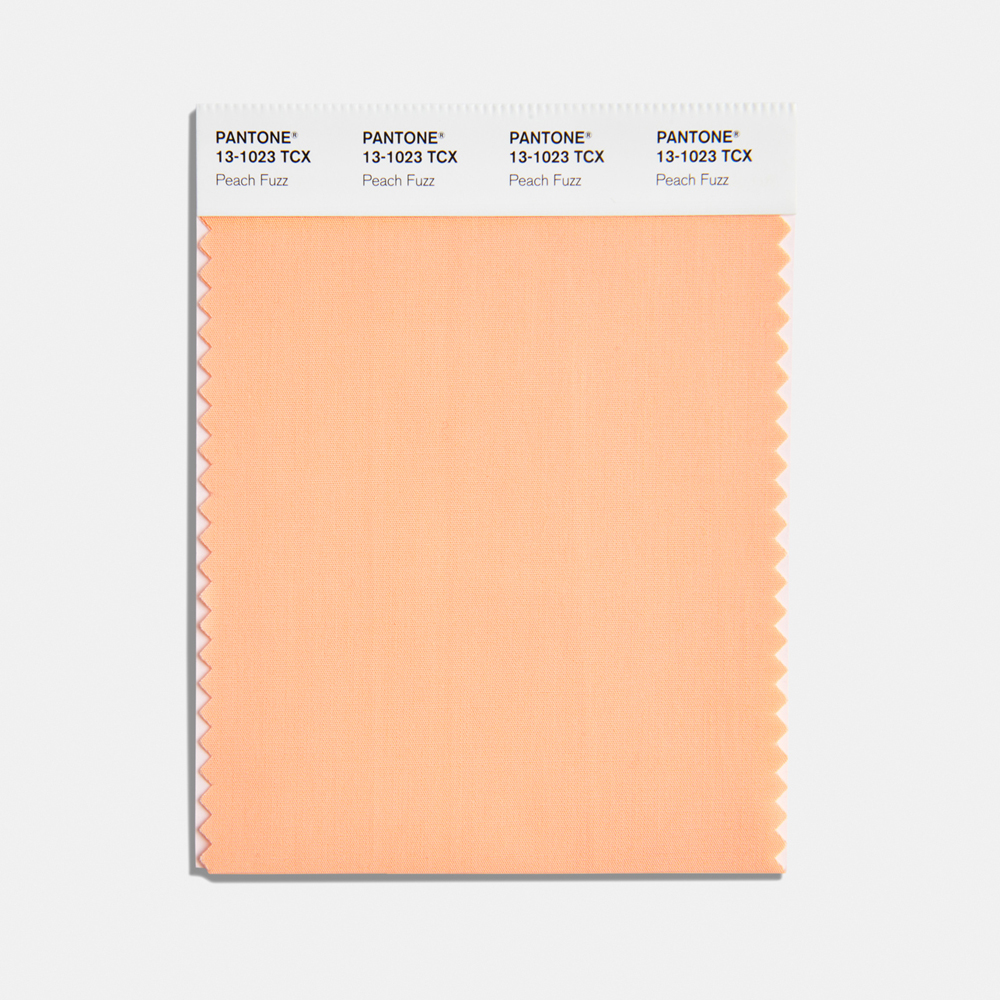 通販 オンラインショップ PANTONE パントン（パントーン）色見本帳 ファッション・インテリア系 テキスタイルカラー